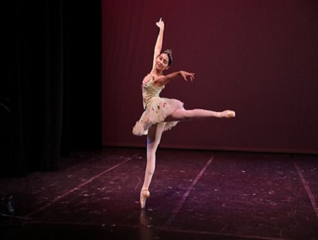 The Leonard & Claire Tow Center for the Performing Arts